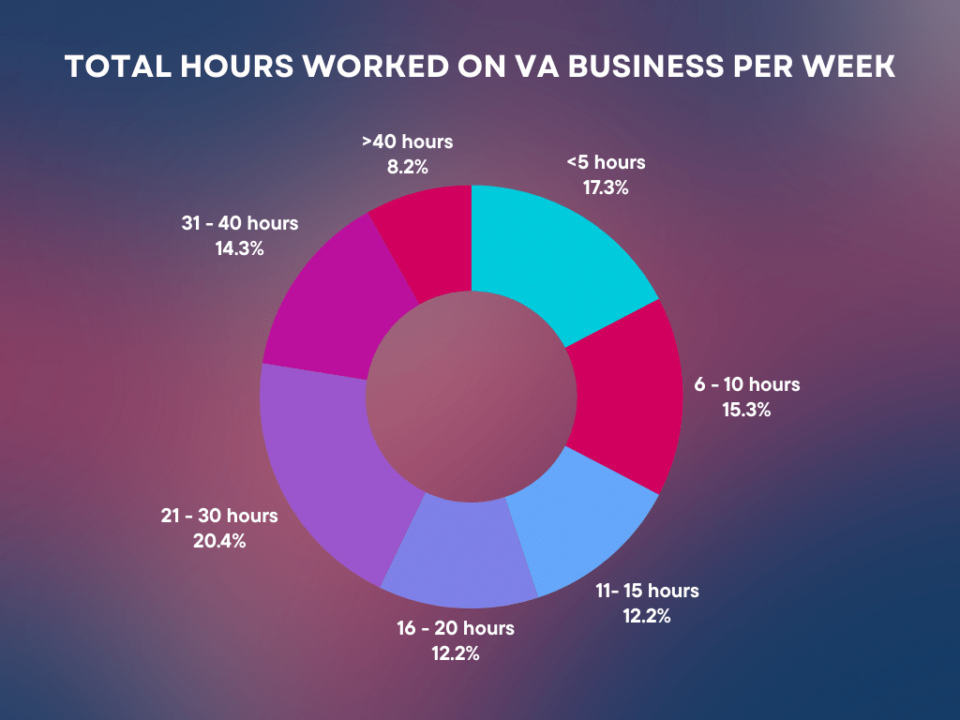 Survey of 147 Virtual Assistants Reveals Useful Insights (2024)